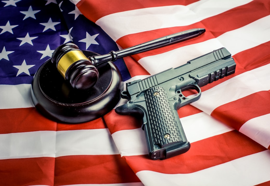 Other CCWs – Safe Insight Store